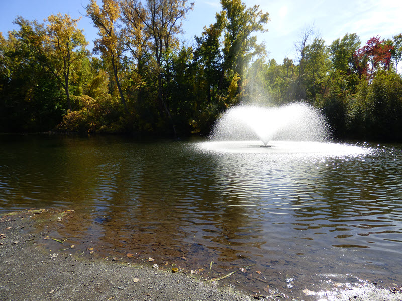 Buckingham Pond Conservancy