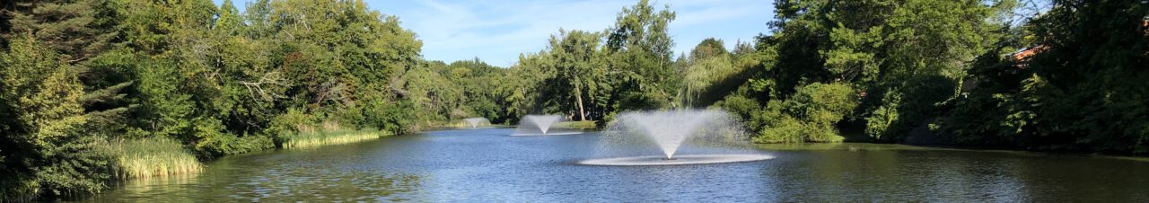 Visit the Pond - Buckingham Pond Conservancy