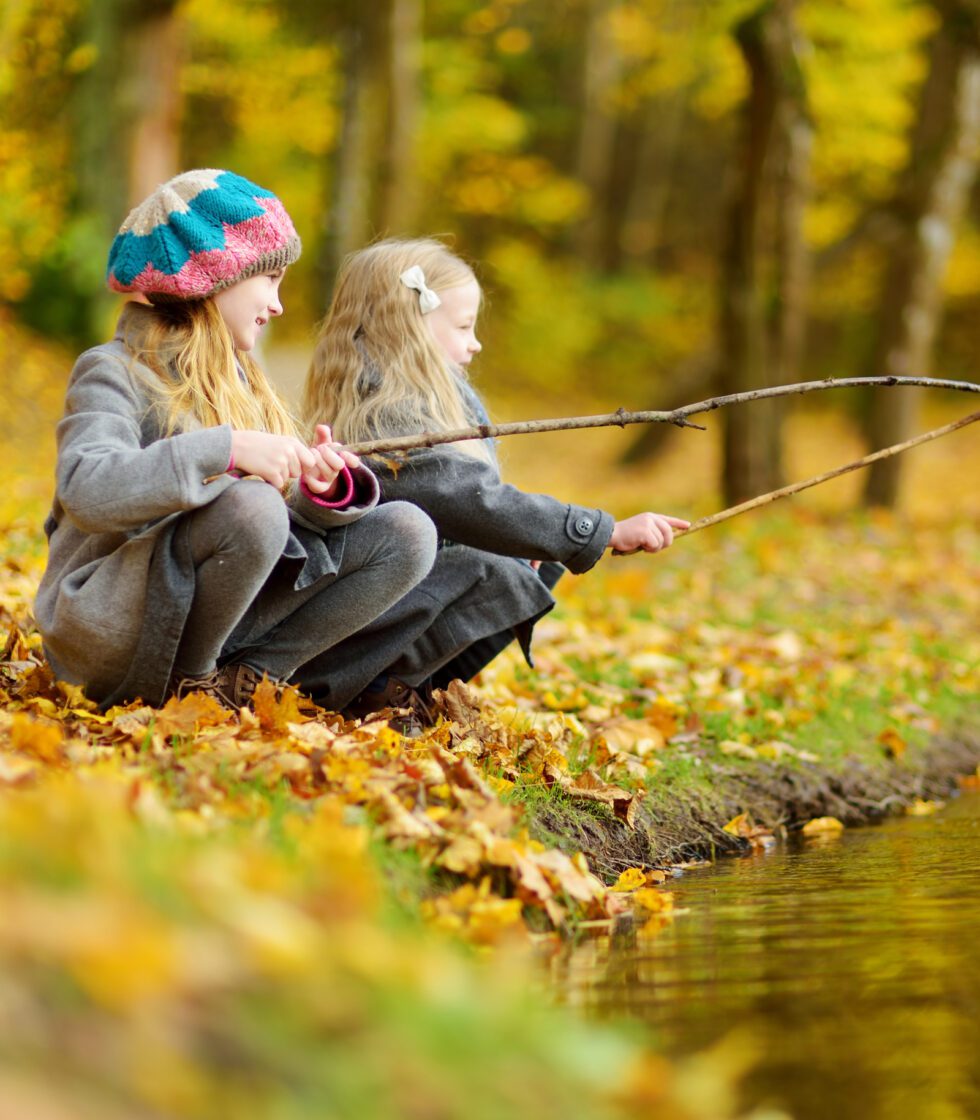 Visit the Pond - Buckingham Pond Conservancy