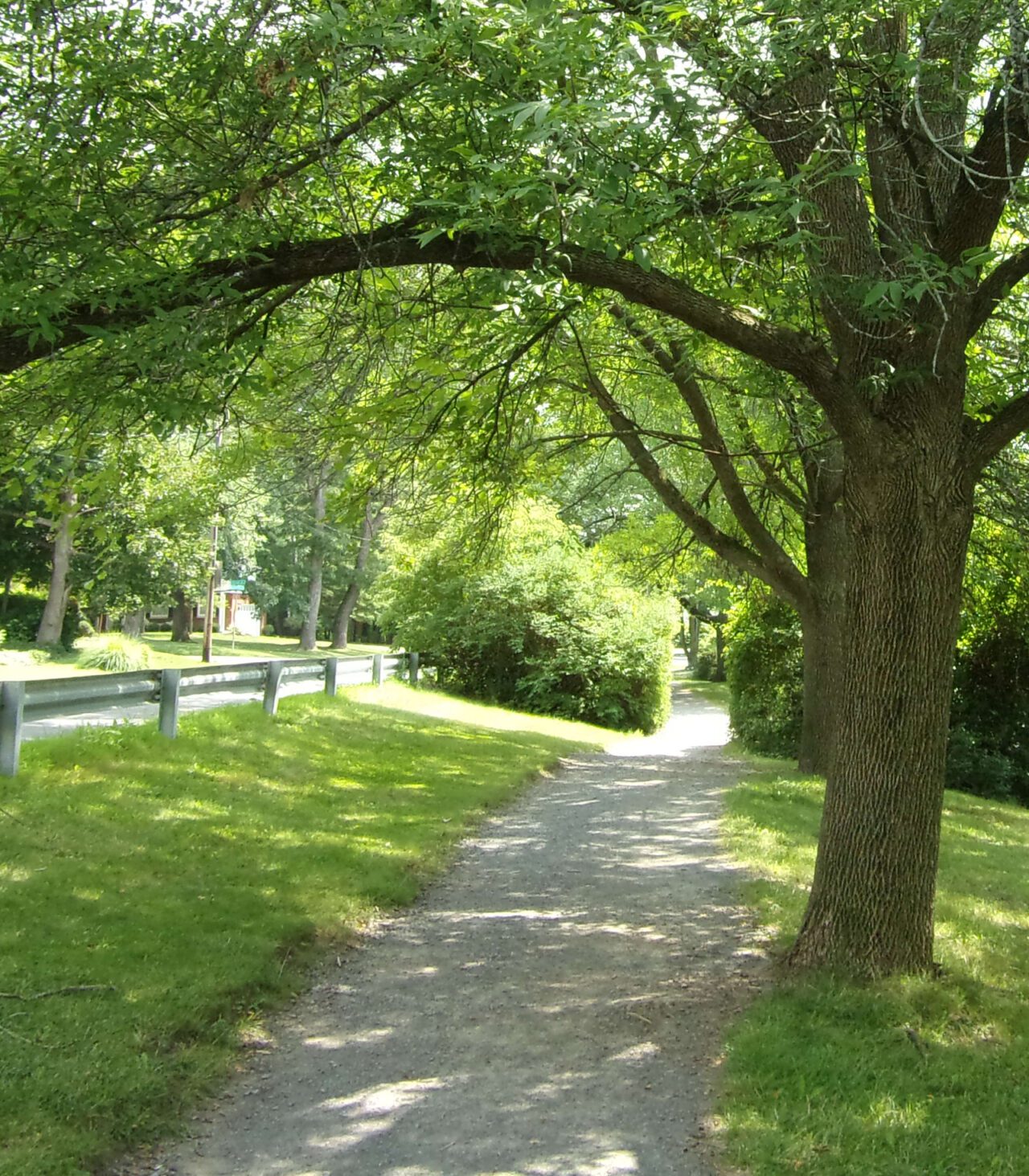 Visit the Pond - Buckingham Pond Conservancy