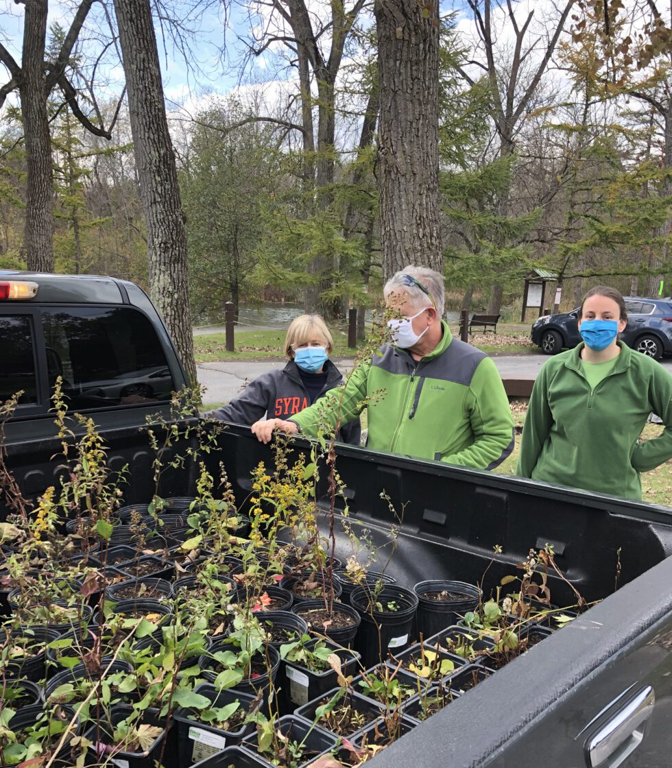 Visit the Pond - Buckingham Pond Conservancy